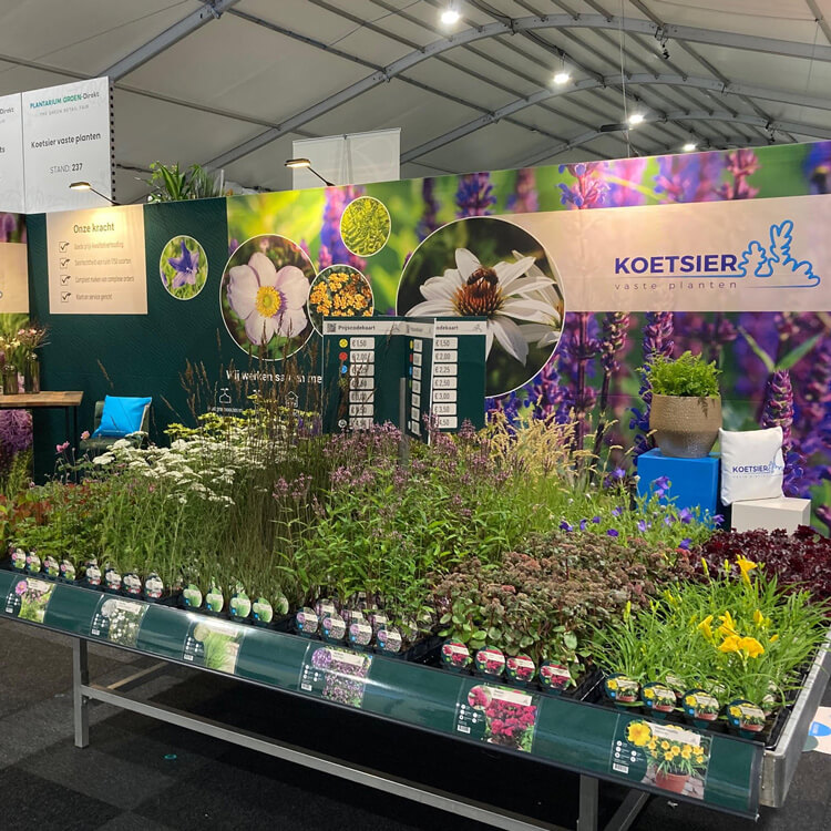 Tuincentra | Koetsier vaste planten