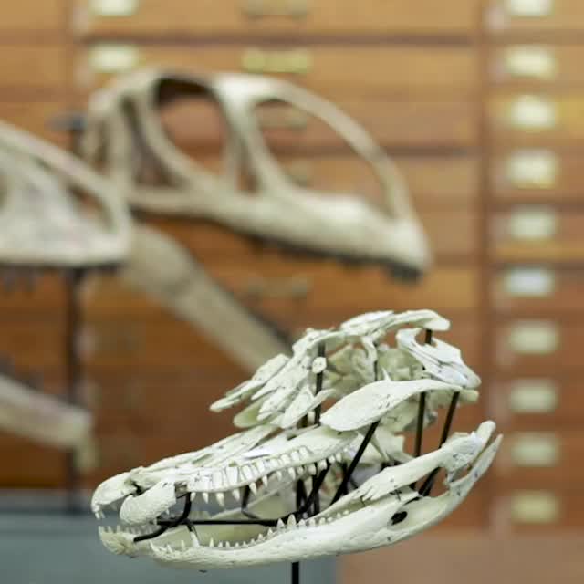 IfThen x UChicago Product Guide | Home