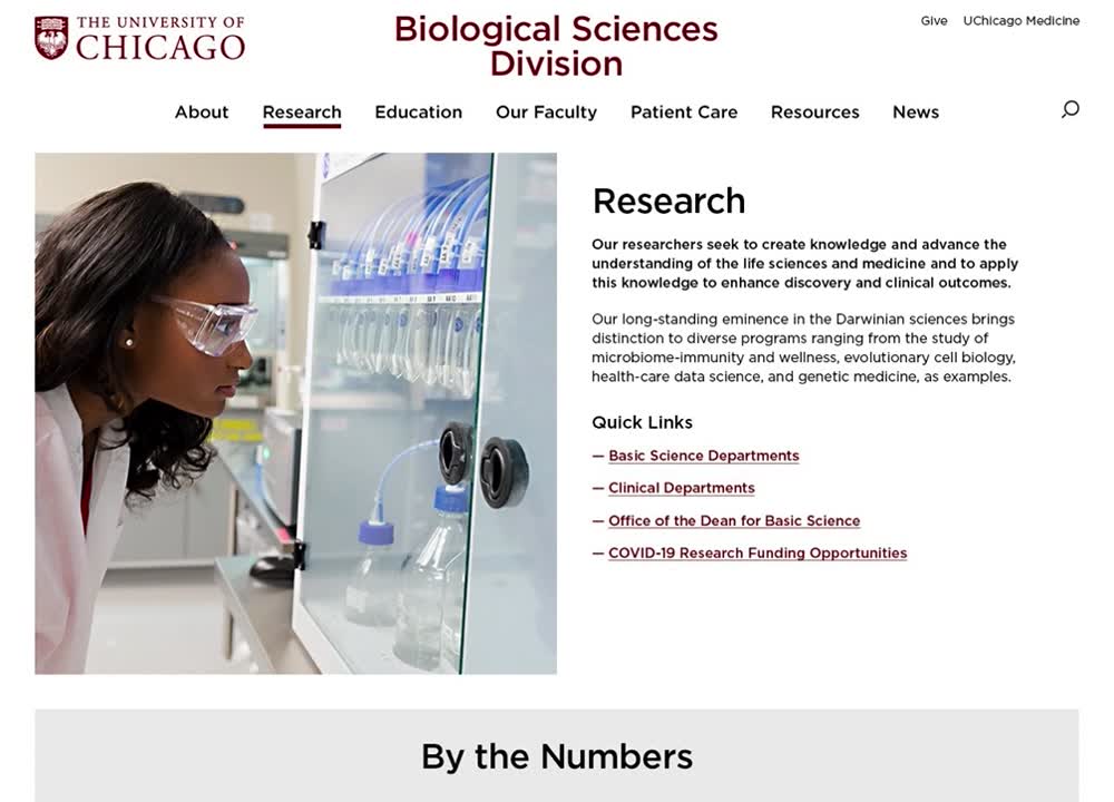 IfThen x UChicago Product Guide | Capabilities