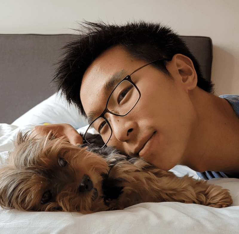 Understanding Your YOLOv8 model with Eigen-CAM