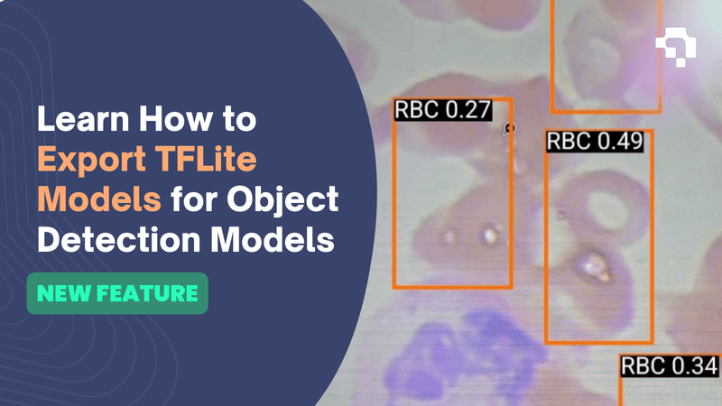 How to Visually Inspect Your Dataset and Annotations for Model Training How to Visually Inspect Your Dataset and Annotations for Model Training