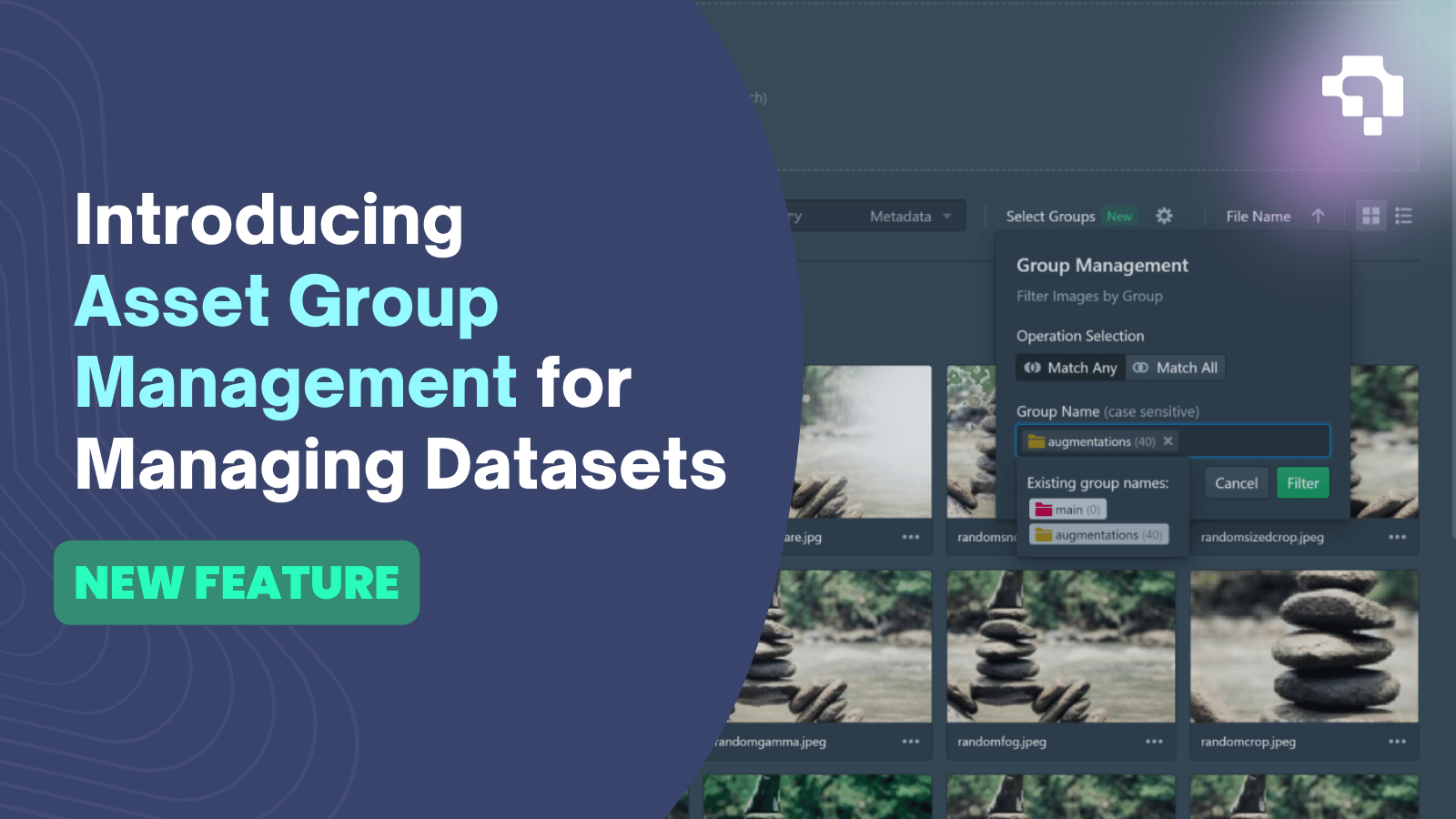 Introducing Asset Group Management for Managing Datasets