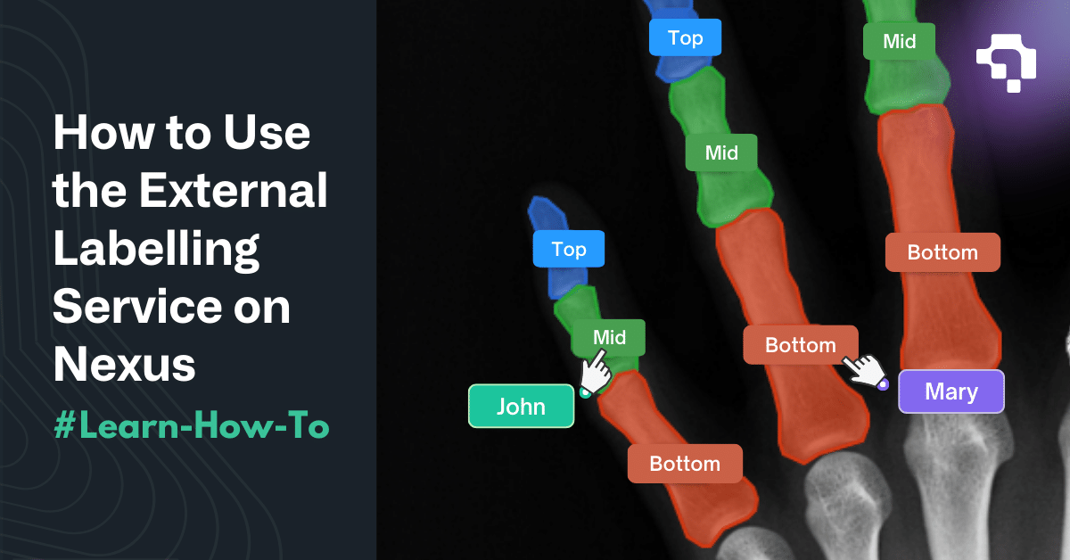 How to Use the External Labelling Service on Nexus