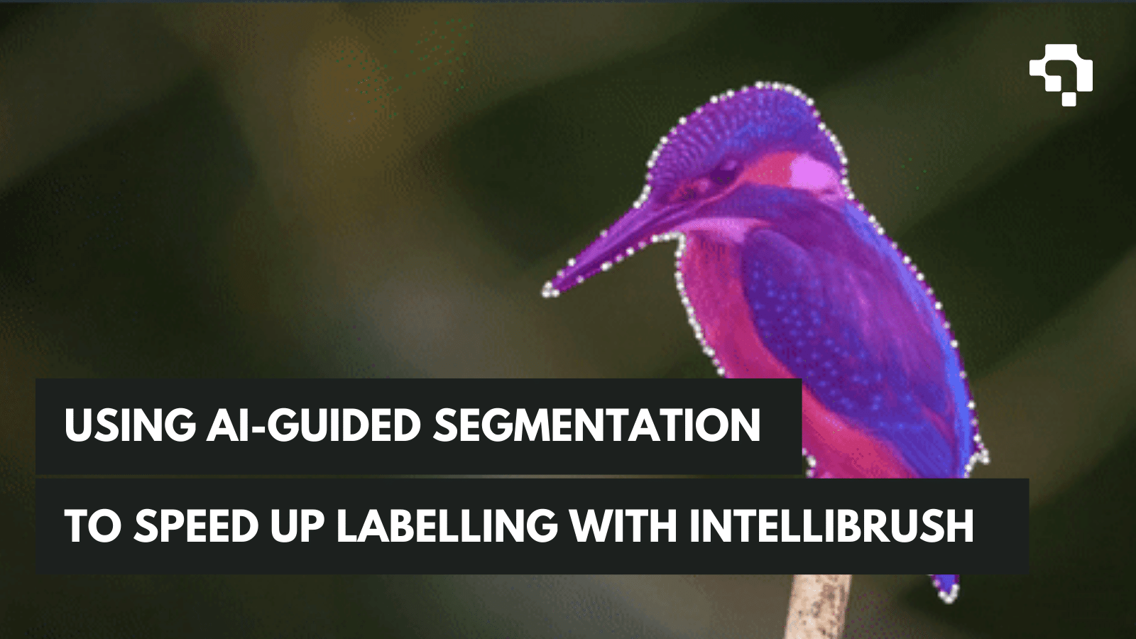 Using AI-Guided Segmentation To Speed Up Labelling With IntelliBrush