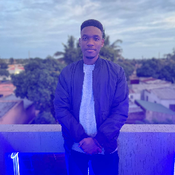 Edilson Matola - Webflow