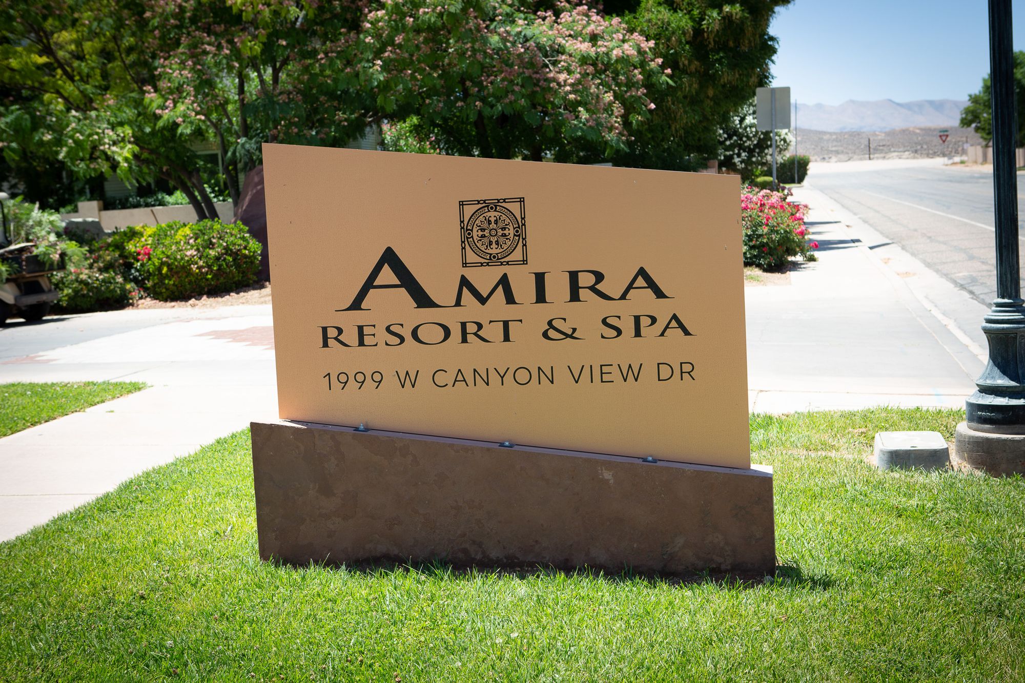 Exterior Signage - Rainbow Sign & Design