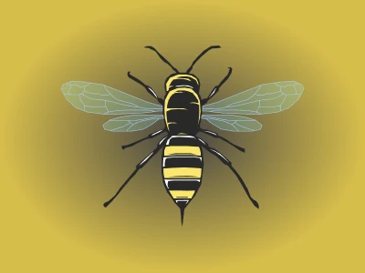 How to Build The Wasp in Pathfinder 2e