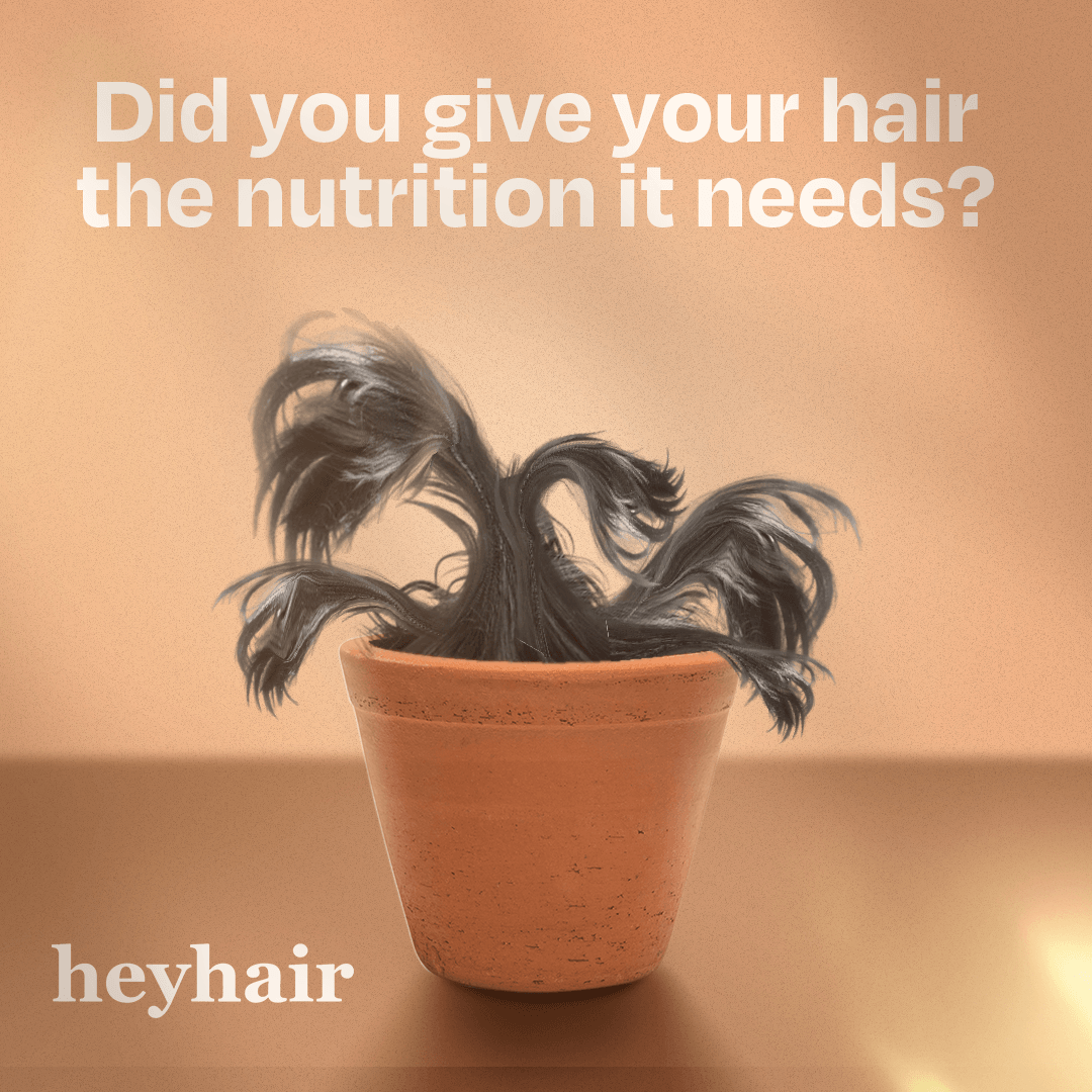 Creative Flywheel | Performance Creative Partner