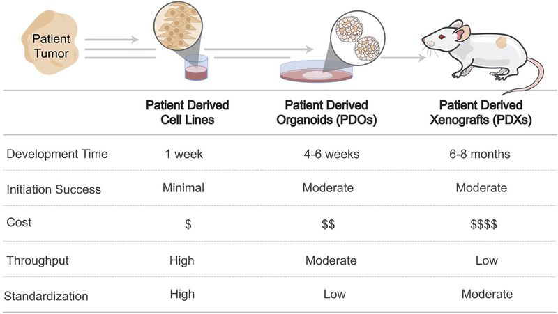 The Society for Functional Precision Medicine