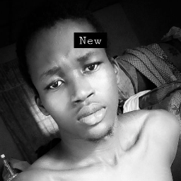 Yau Mustapha's Workspace - Webflow