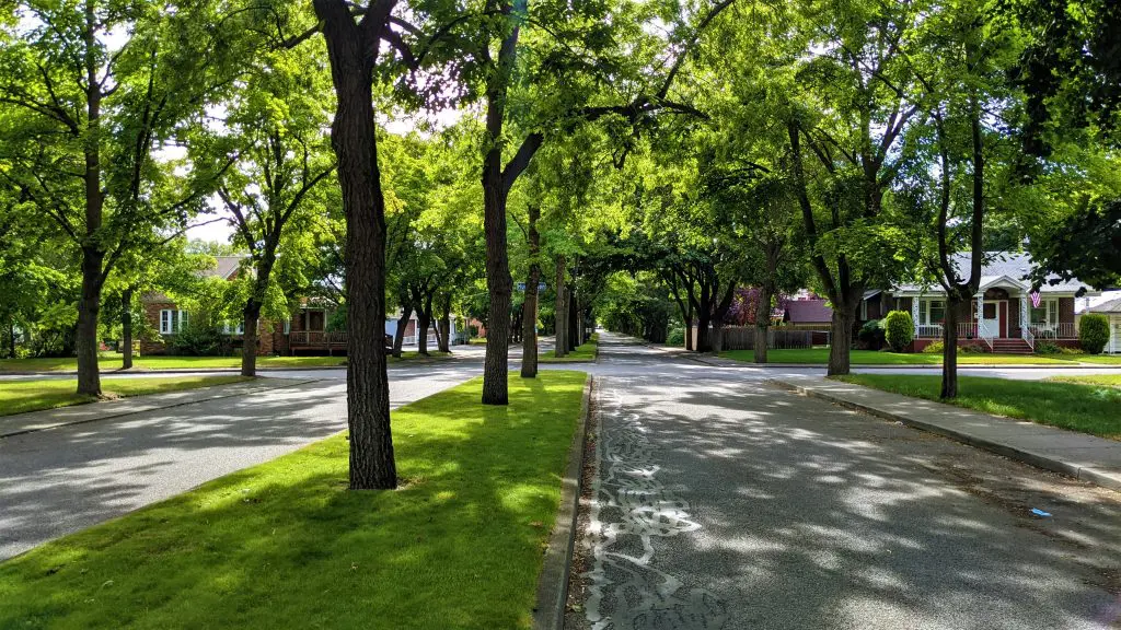 #3 Millwood, Washington