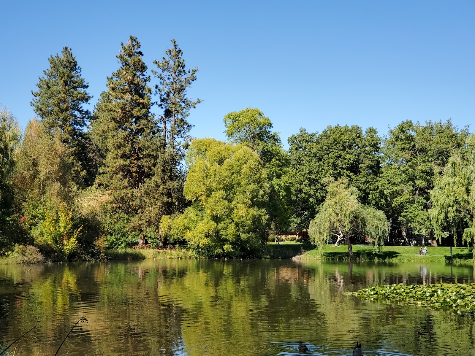  7 Cannon Hill Park