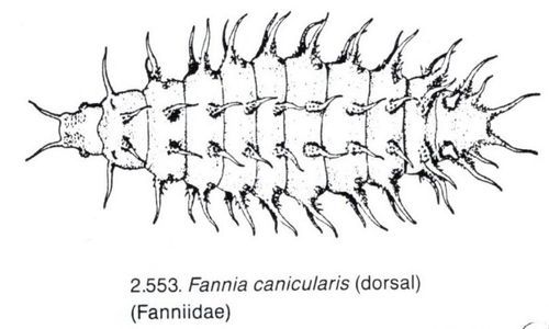 Paul Ferrar - Articles
