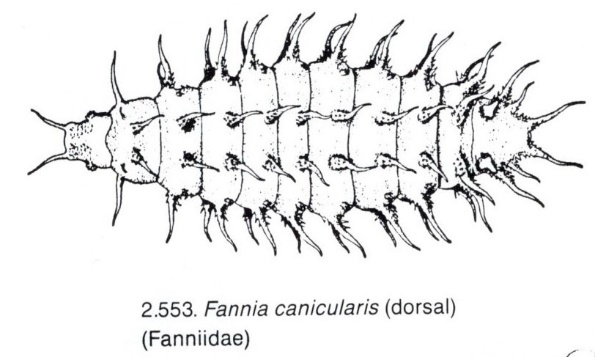 Paul Ferrar - Articles