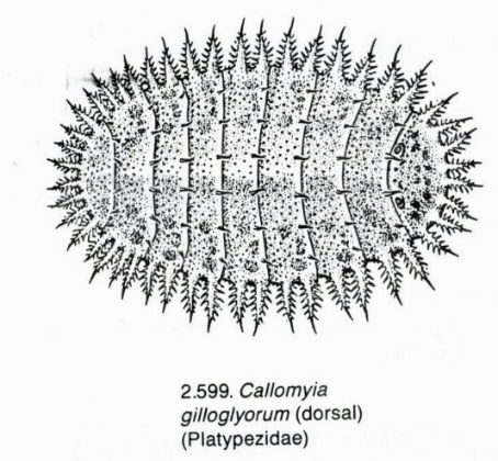 Paul Ferrar - Articles