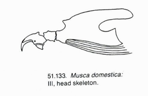 Paul Ferrar - Articles