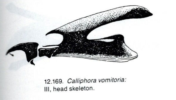 Paul Ferrar - Articles