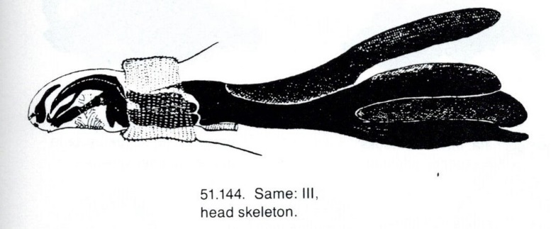 Paul Ferrar - Articles