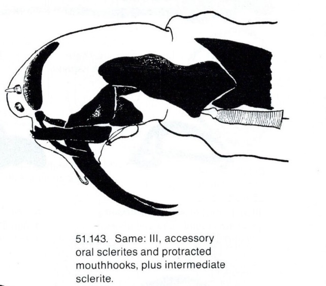 Paul Ferrar - Articles