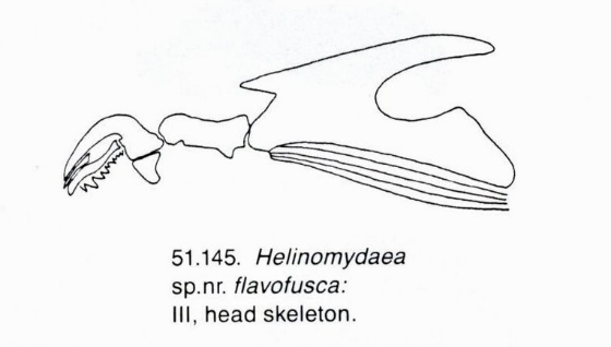 Paul Ferrar - Articles