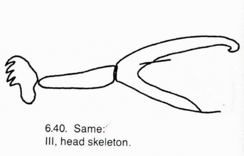 Paul Ferrar - Articles