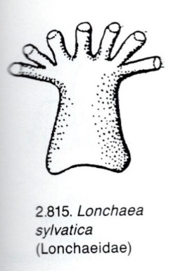 Paul Ferrar - Articles