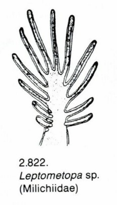 Paul Ferrar - Articles