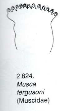 Paul Ferrar - Articles