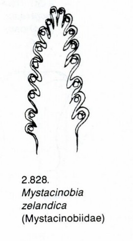 Paul Ferrar - Articles