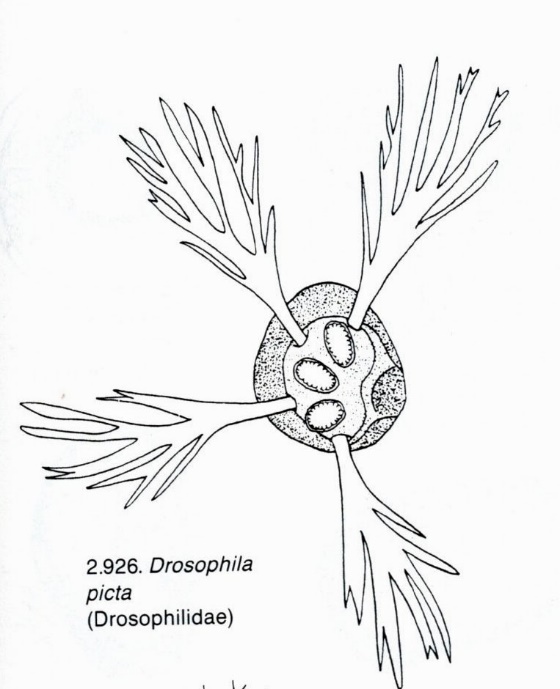 Paul Ferrar - Articles