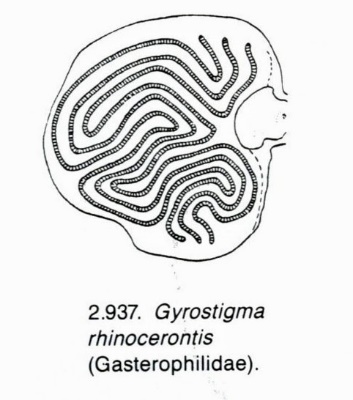 Paul Ferrar - Articles