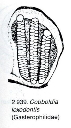Paul Ferrar - Articles