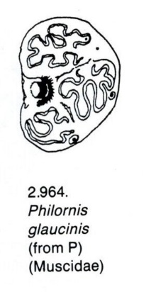 Paul Ferrar - Articles