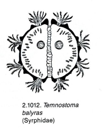 Paul Ferrar - Articles