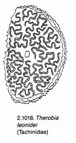 Paul Ferrar - Articles