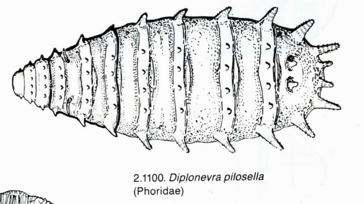 Paul Ferrar - Articles