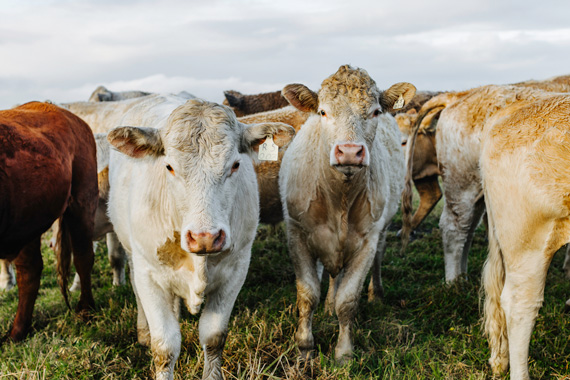 Mining Responsibly | NSW Mining