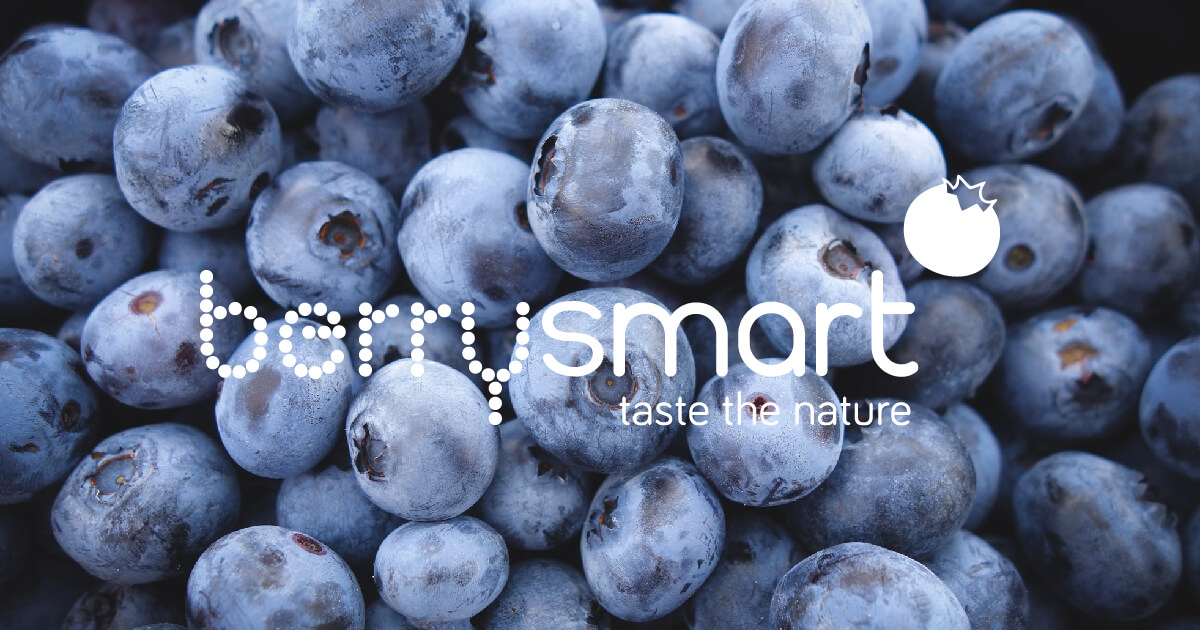 Berrysmart | Fruto