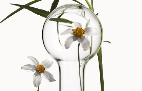 PENGARNA - Bold Thinking. Bold Execution.