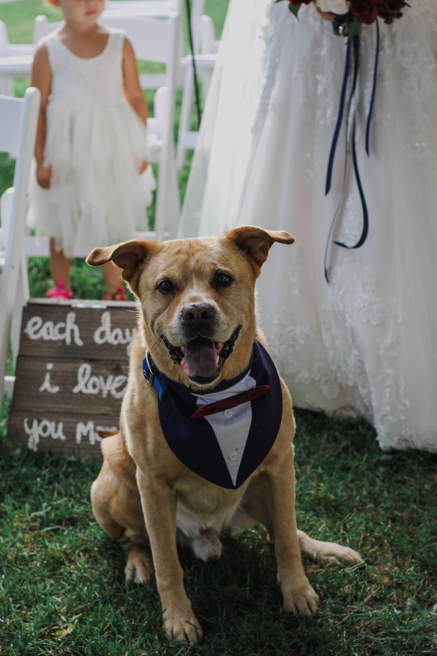 7 Ways to Incorporate Your Dog into Your Wedding Ceremony – Provenance