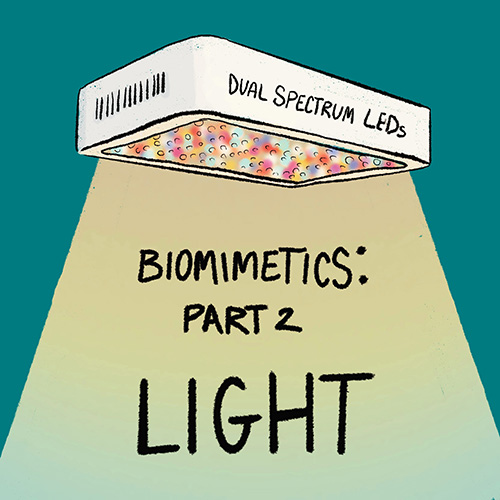 Biomimetics Part 2: Light