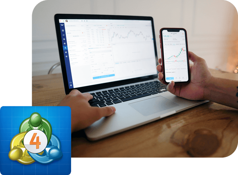 Home [www.immfx.com]