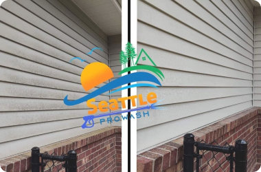Exterior Home Cleaning in Seattle | Seattle ProWash