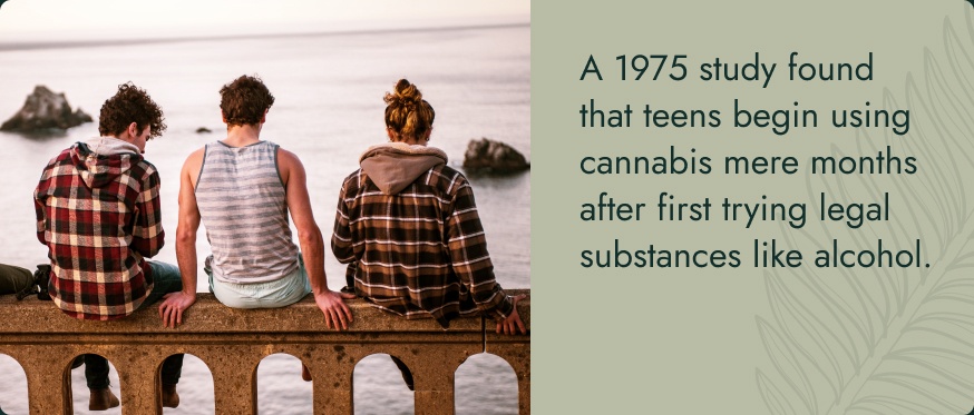 Gateway Drugs: Fact and Fiction