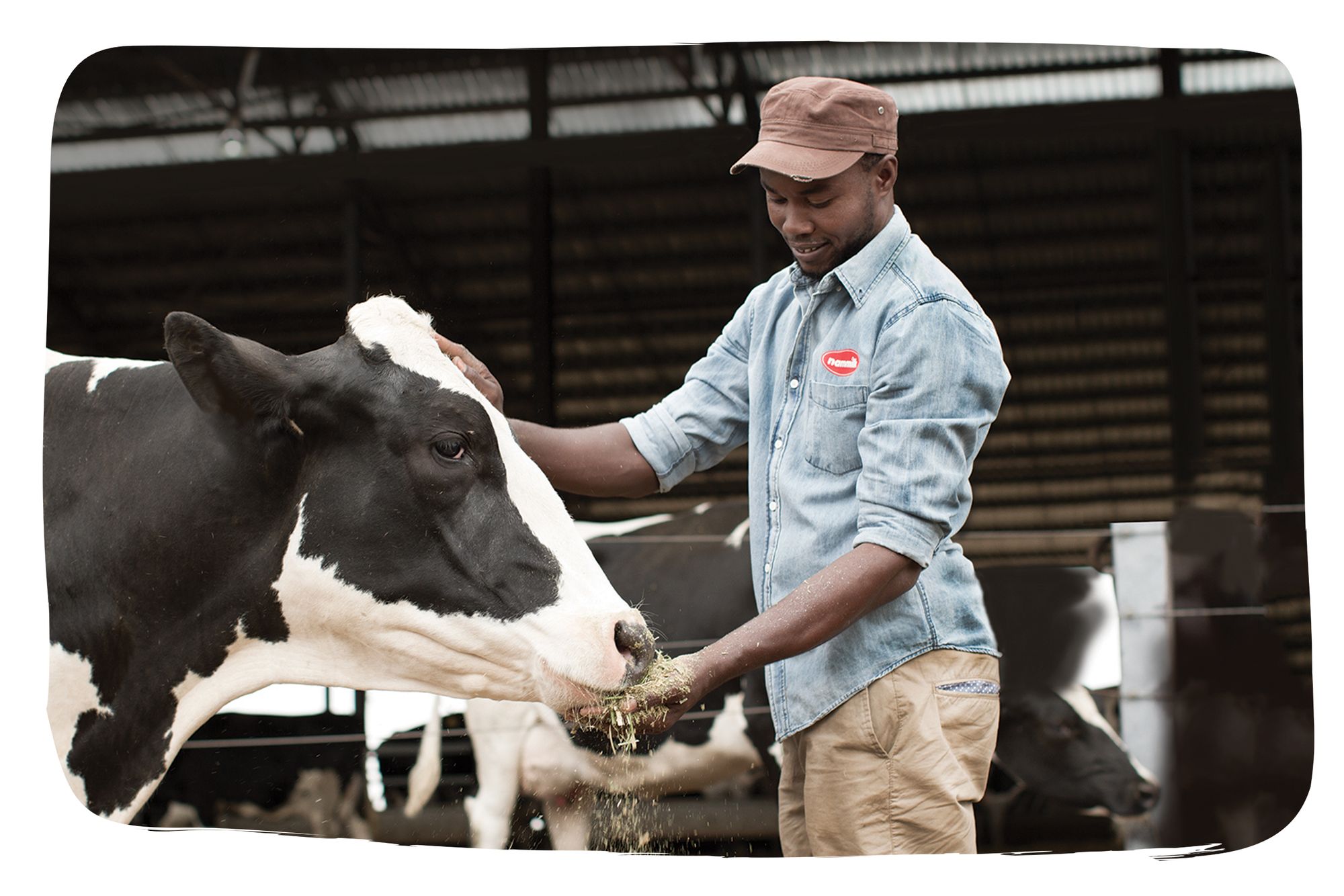About us | Proud member of the Namibia Dairies family.