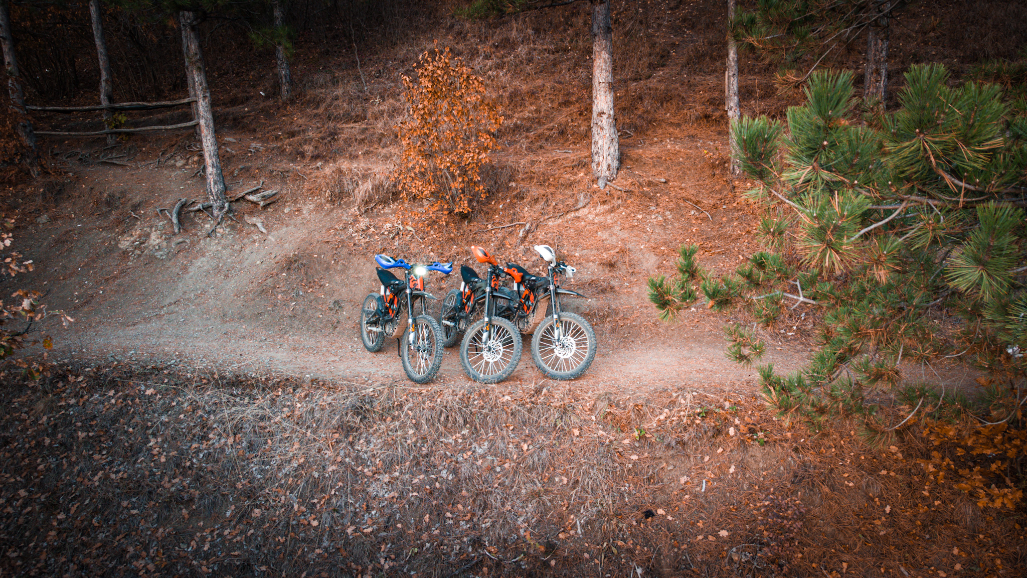 Tour "Oasis of tranquility - Pancharevo Lake" | Electric Extreme