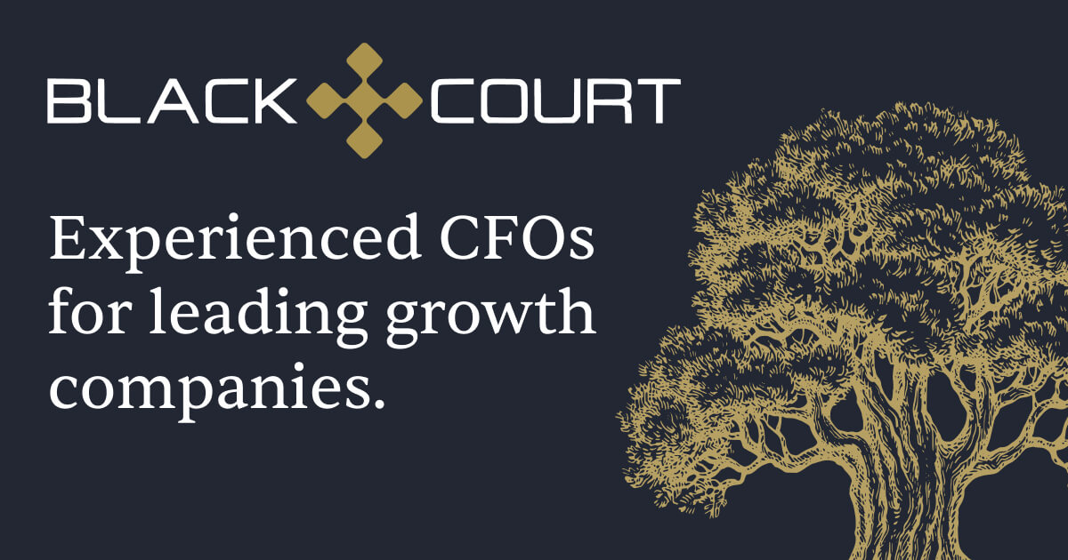 About Black Court | CFO Experts