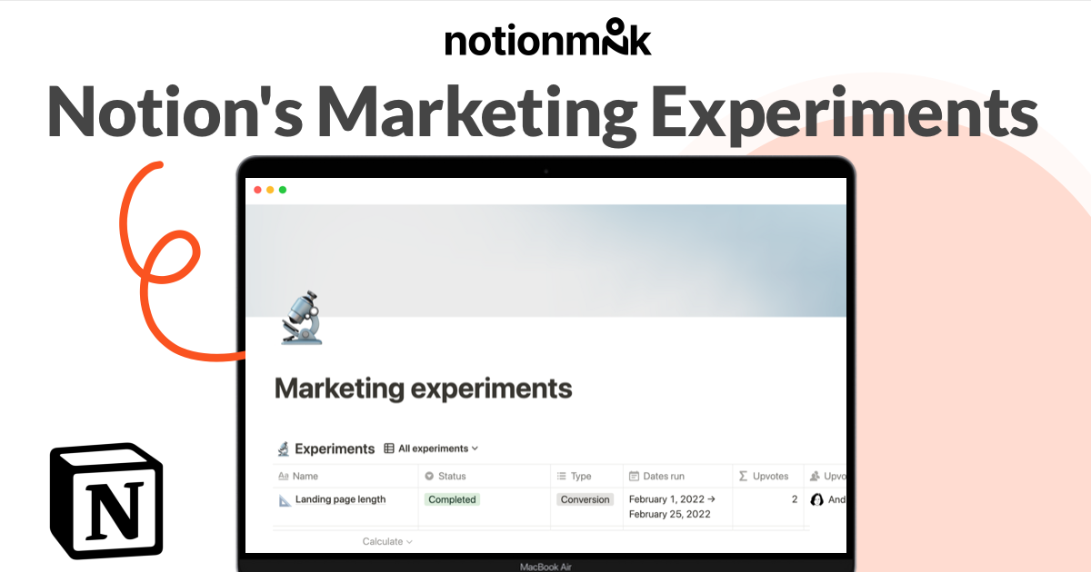 Maximize Your Marketing Strategy with Notion's Marketing Experiments ...