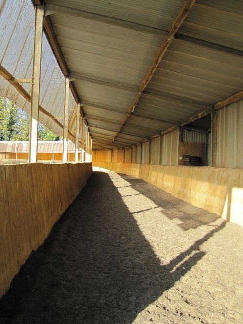 About | Tom Clover Racing