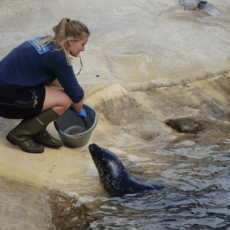 BSc (Hons) Zoological Management & Conservation | University Centre SGS